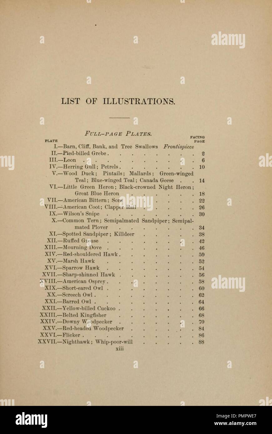 Bird-life (List of Illustrations, Page xiii Stock Photo - Alamy