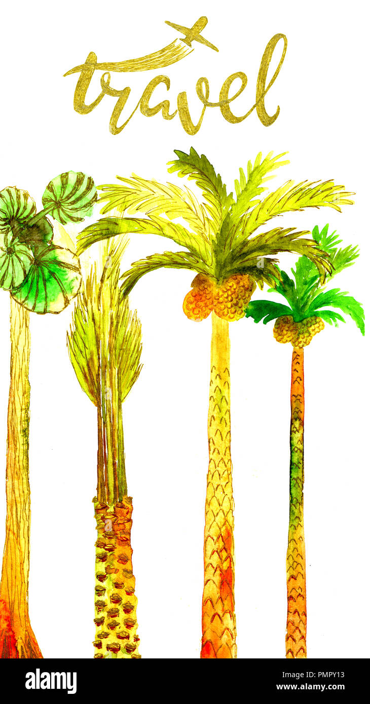 tall palm trees. Watercolor illustration Stock Photo - Alamy