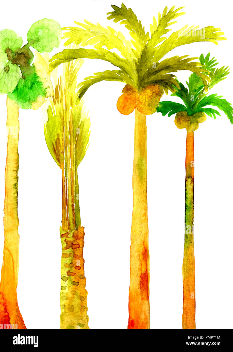 tall palm trees. Watercolor illustration Stock Photo - Alamy