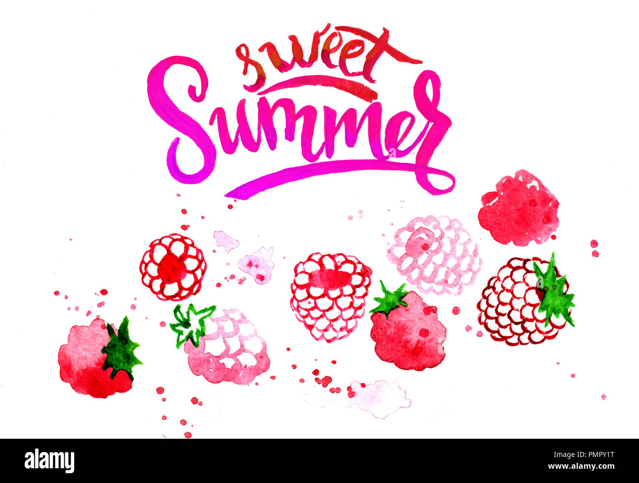 Raspberries drawing hi-res stock photography and images - Alamy