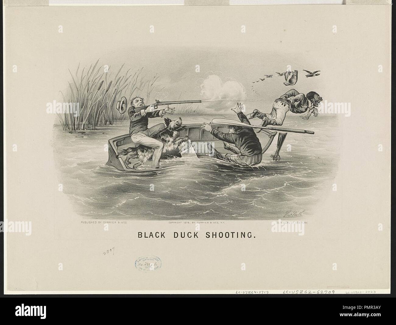 Black duck shooting - Thos. Worth Stock Photo - Alamy