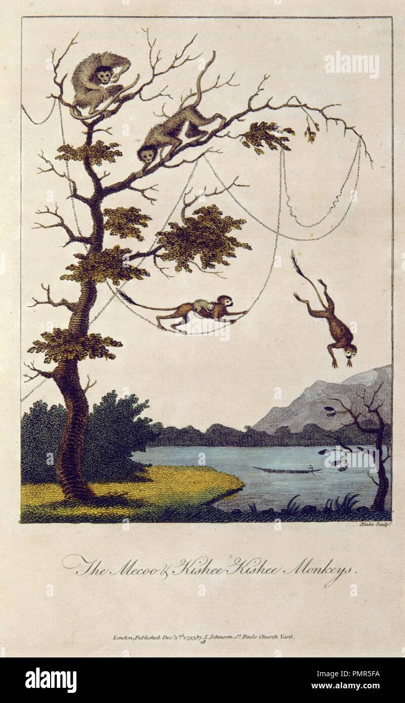 Blake after John Gabriel Stedman Narrative of a Five Years copy 2 ...