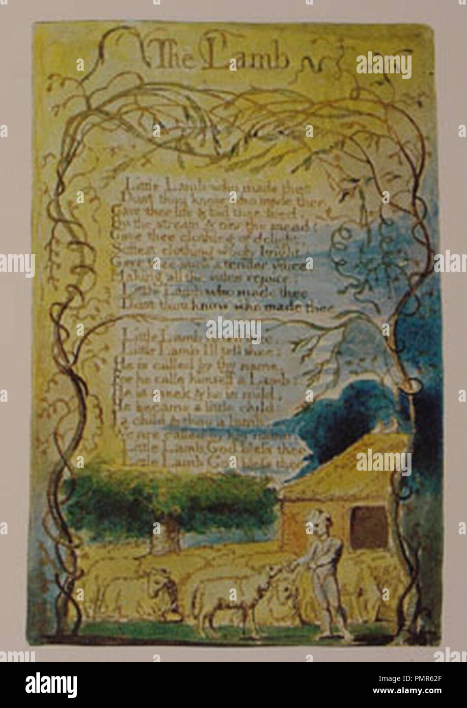 Blake lamb color Stock Photo - Alamy
