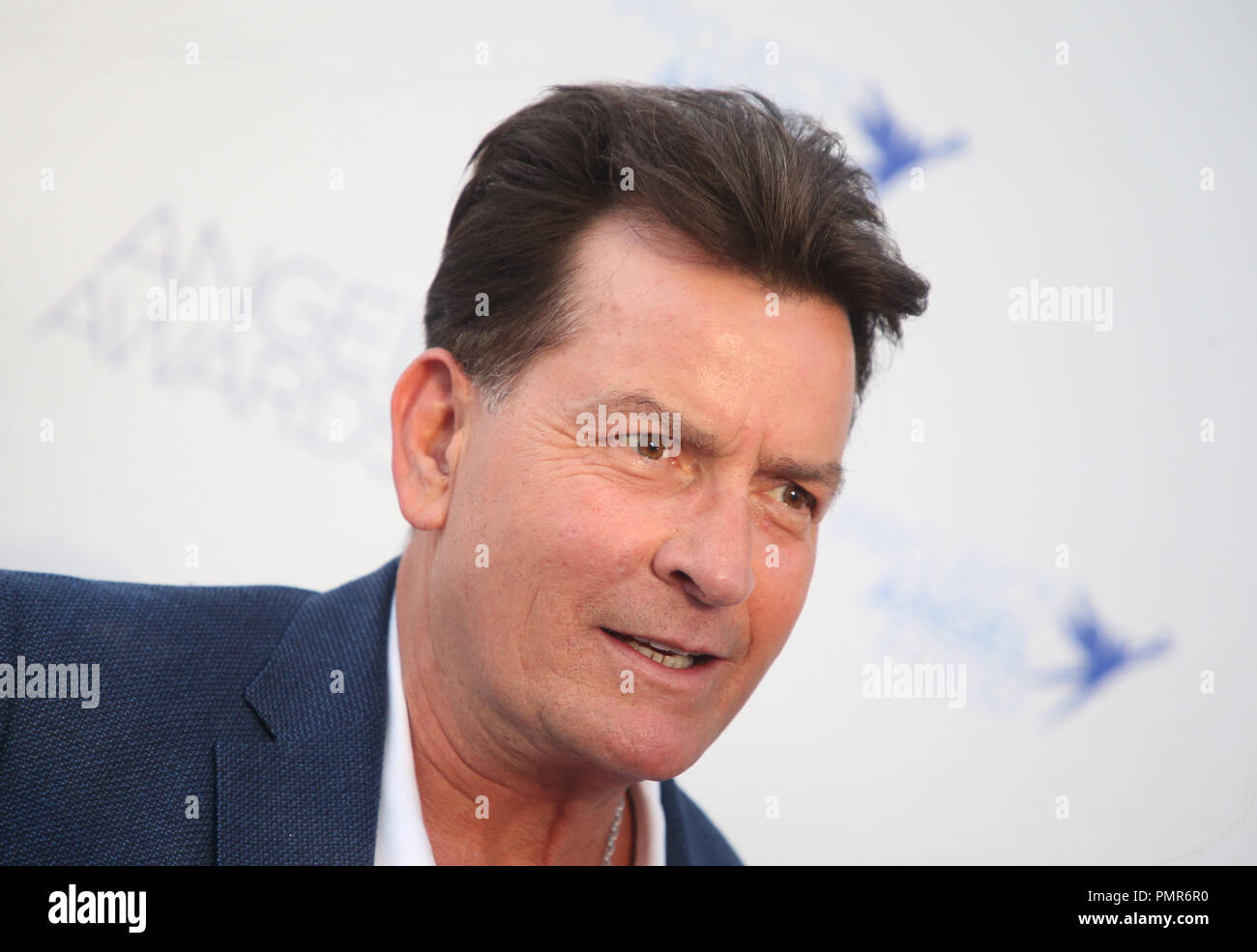 28th Annual Angel Awards Featuring: Charlie Sheen Where: Los Angeles ...