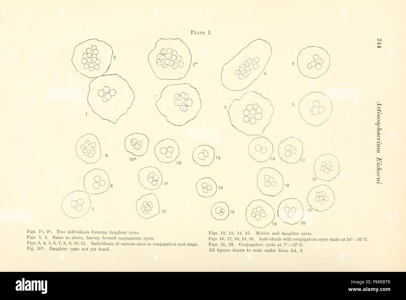Biometrika hi-res stock photography and images - Alamy