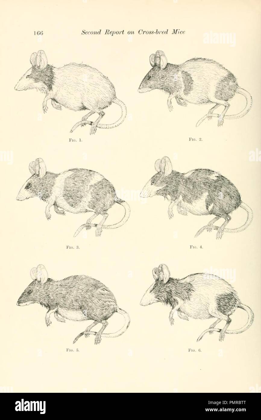 Biometrika hi-res stock photography and images - Alamy