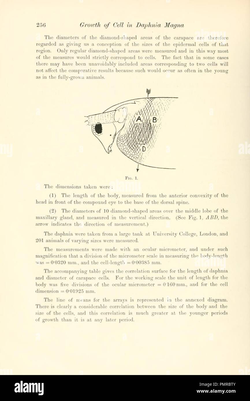Biometrika hi-res stock photography and images - Alamy