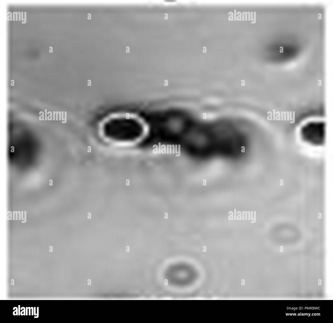 Biomolecules; Magnetic Computer Sensors Stock Photo - Alamy