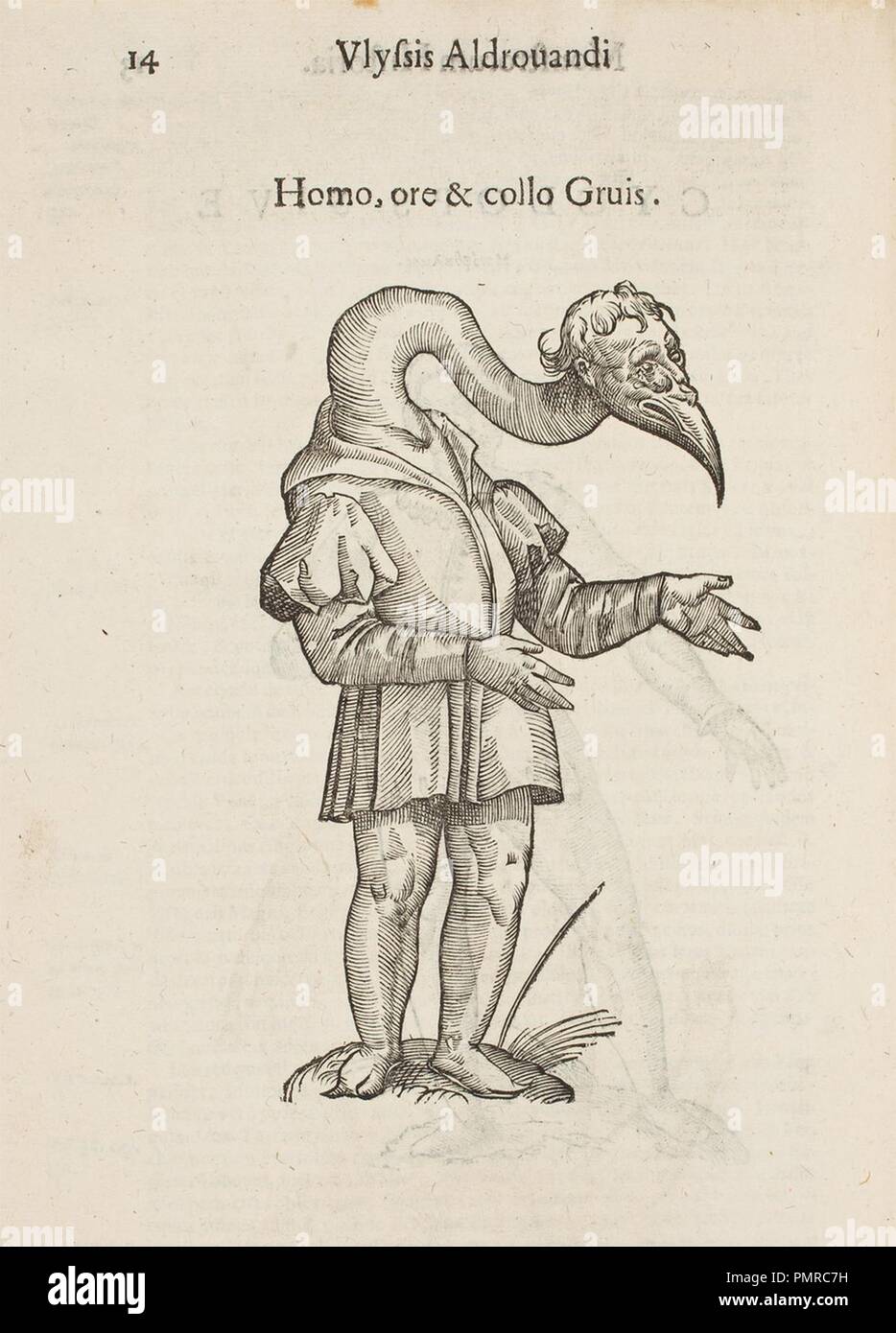 Bird headed man Stock Photo - Alamy