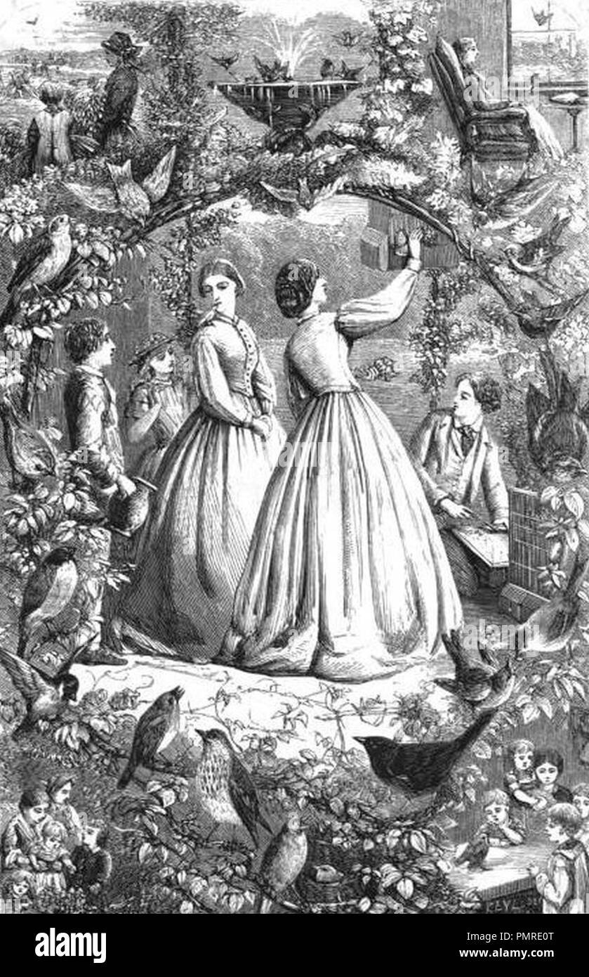 Song birds print hi-res stock photography and images - Alamy