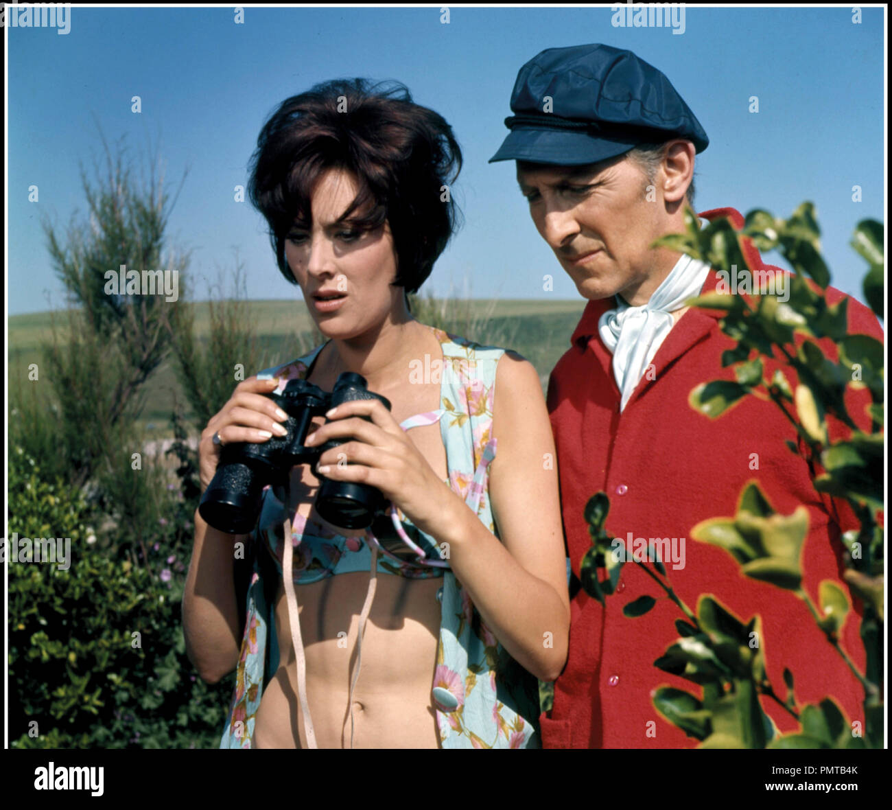 Sue Lloyd Stock Photos & Sue Lloyd Stock Images - Alamy
