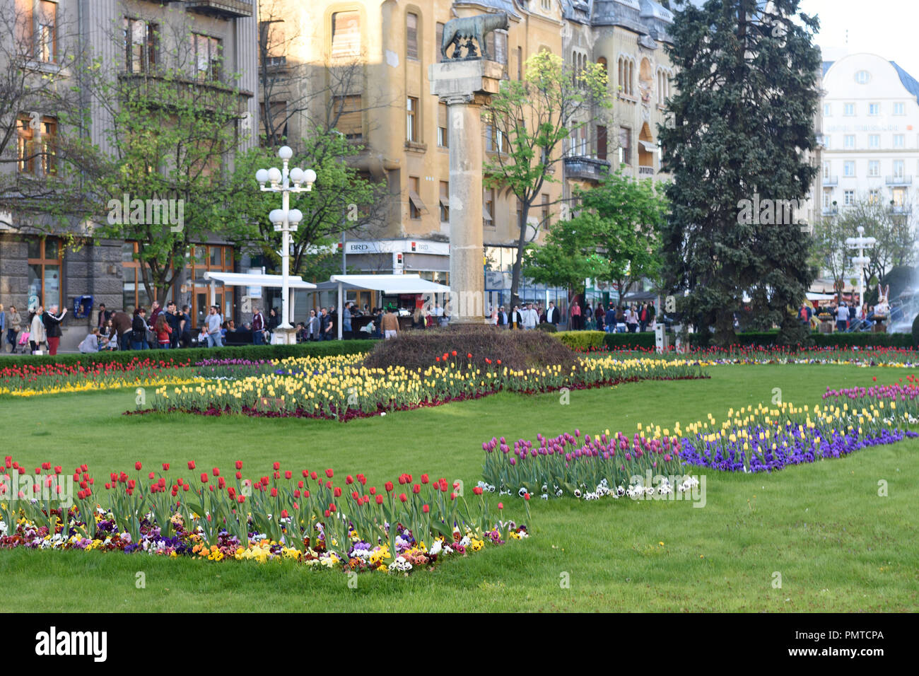 Piata Operei , Timisoara, Romania Stock Photo - Alamy