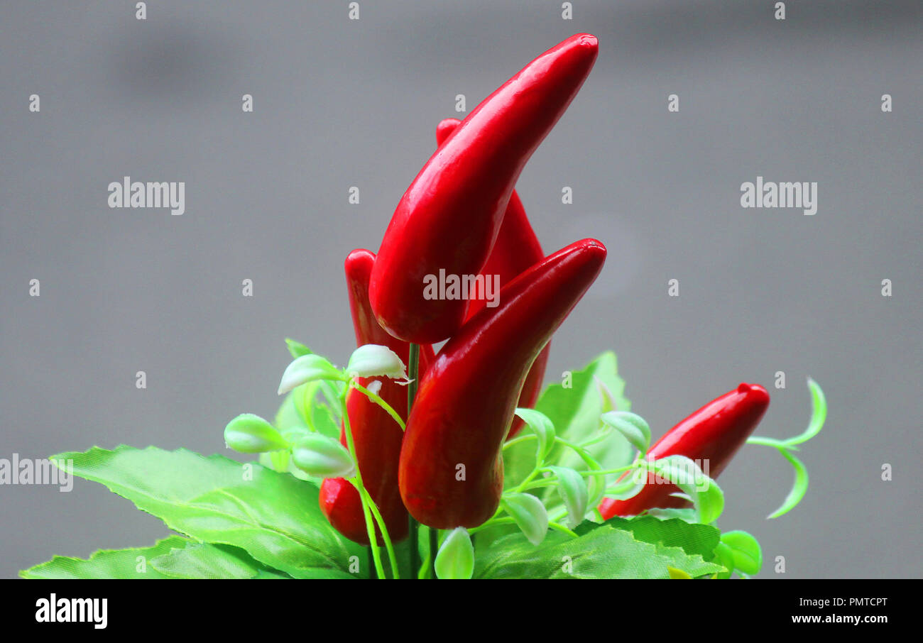 a plastic chilli peppers plant Stock Photo - Alamy