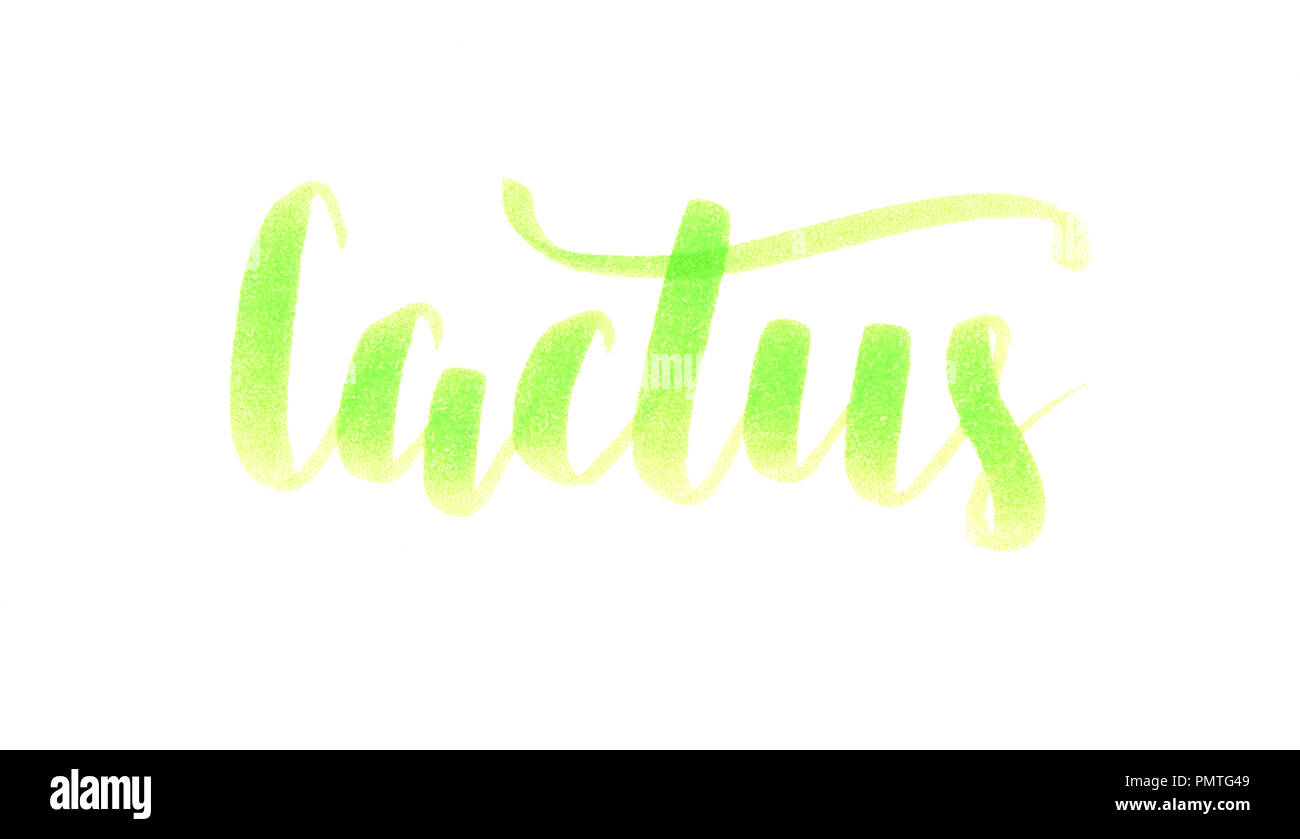 "Cactus" hand lettering inscription in vivid green color Stock Photo ...