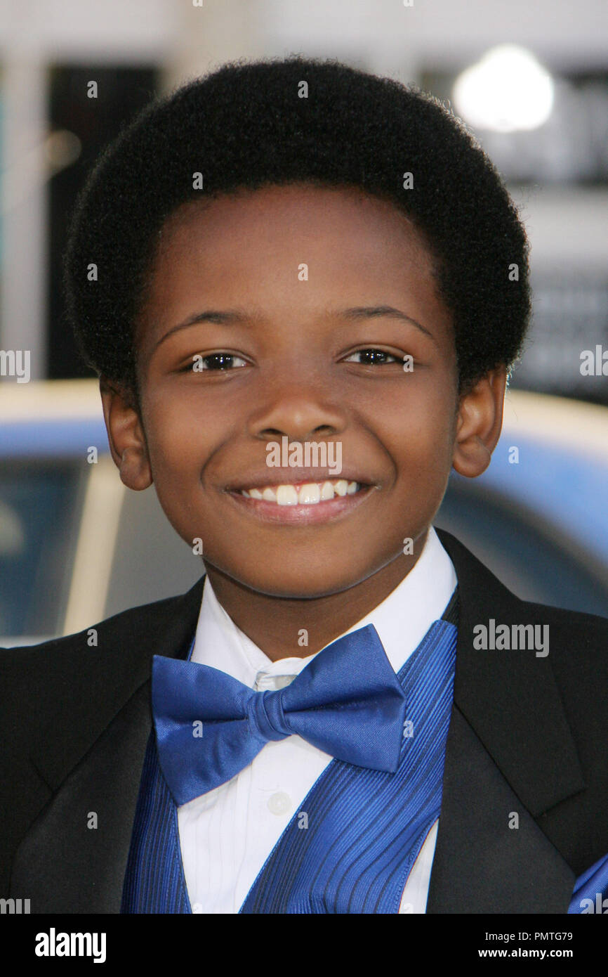 Dusan brown hi-res stock photography and images - Alamy
