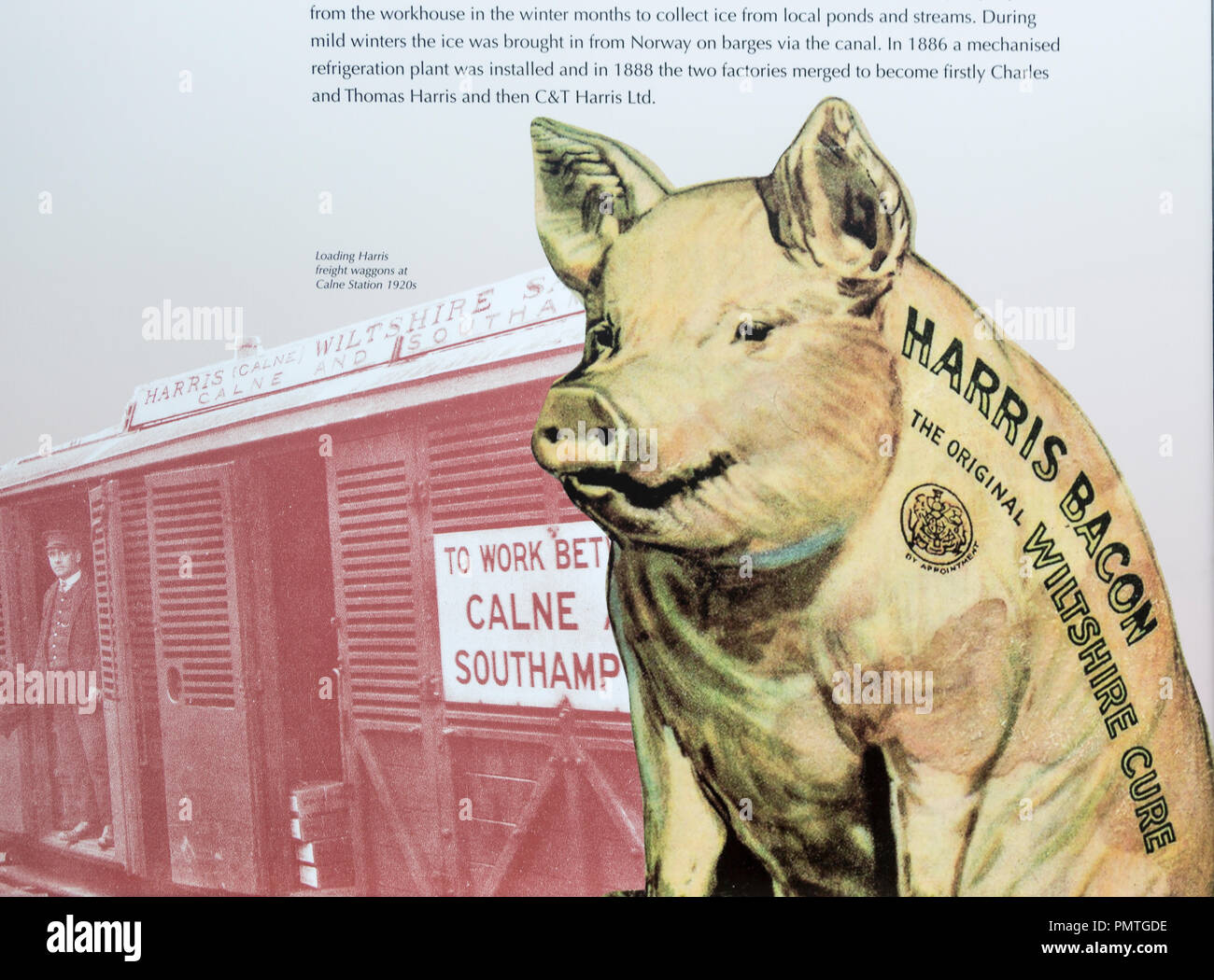 Harris bacon display Calne Heritage Centre museum, Heritage Quarter ...