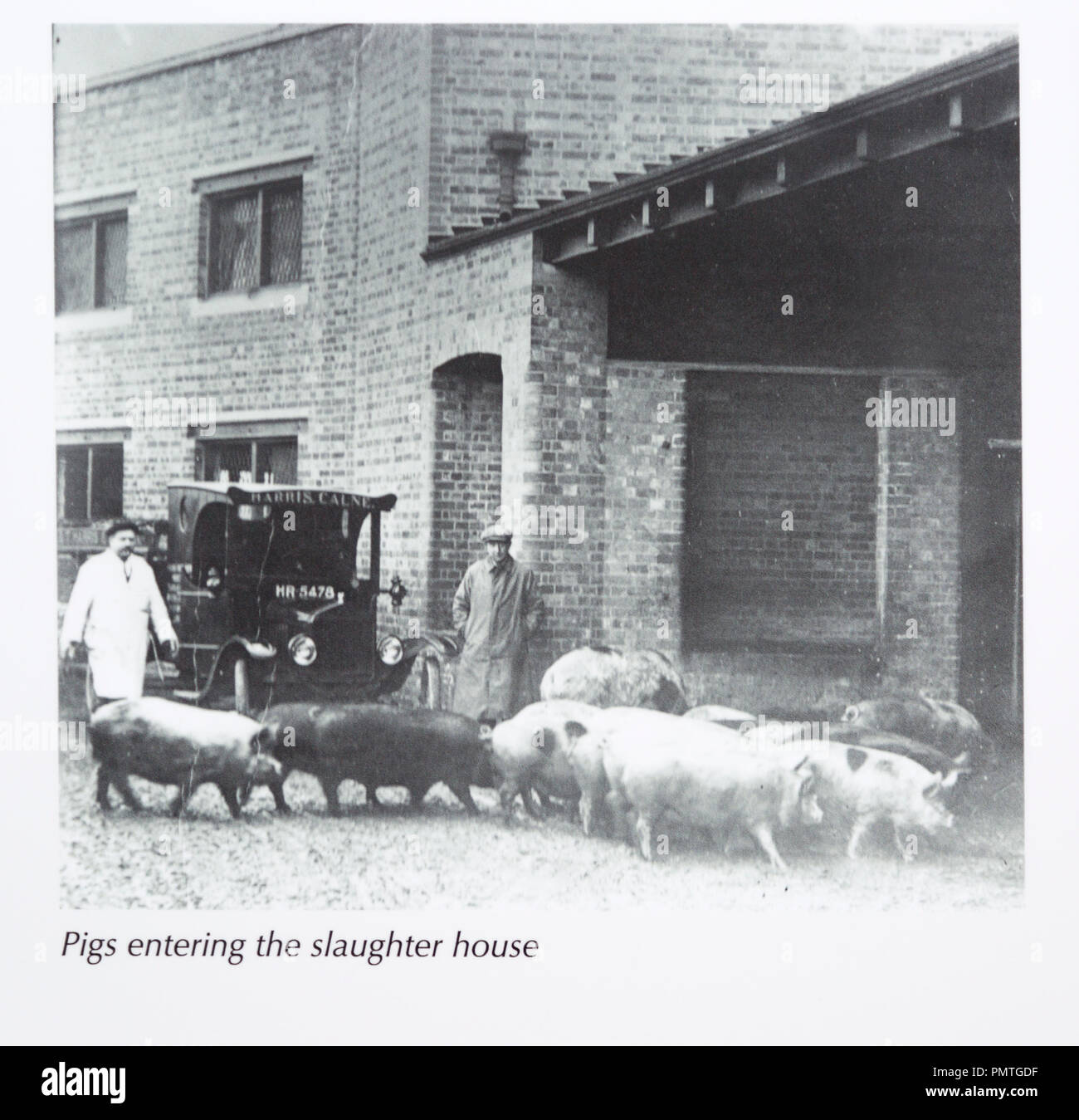 Uk meat factory hi-res stock photography and images - Alamy