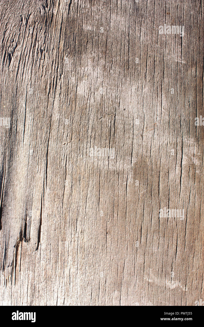 Old wooden plank texture, shabby faded weathered surface tree with ...