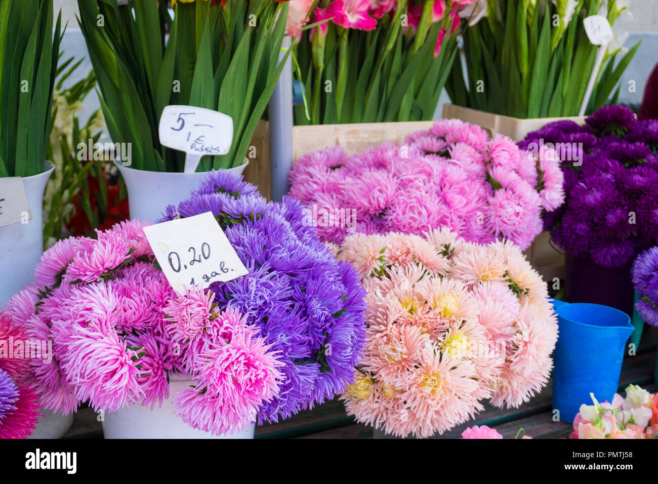 Different autumn flowers on sale on central market in bouquets with ...