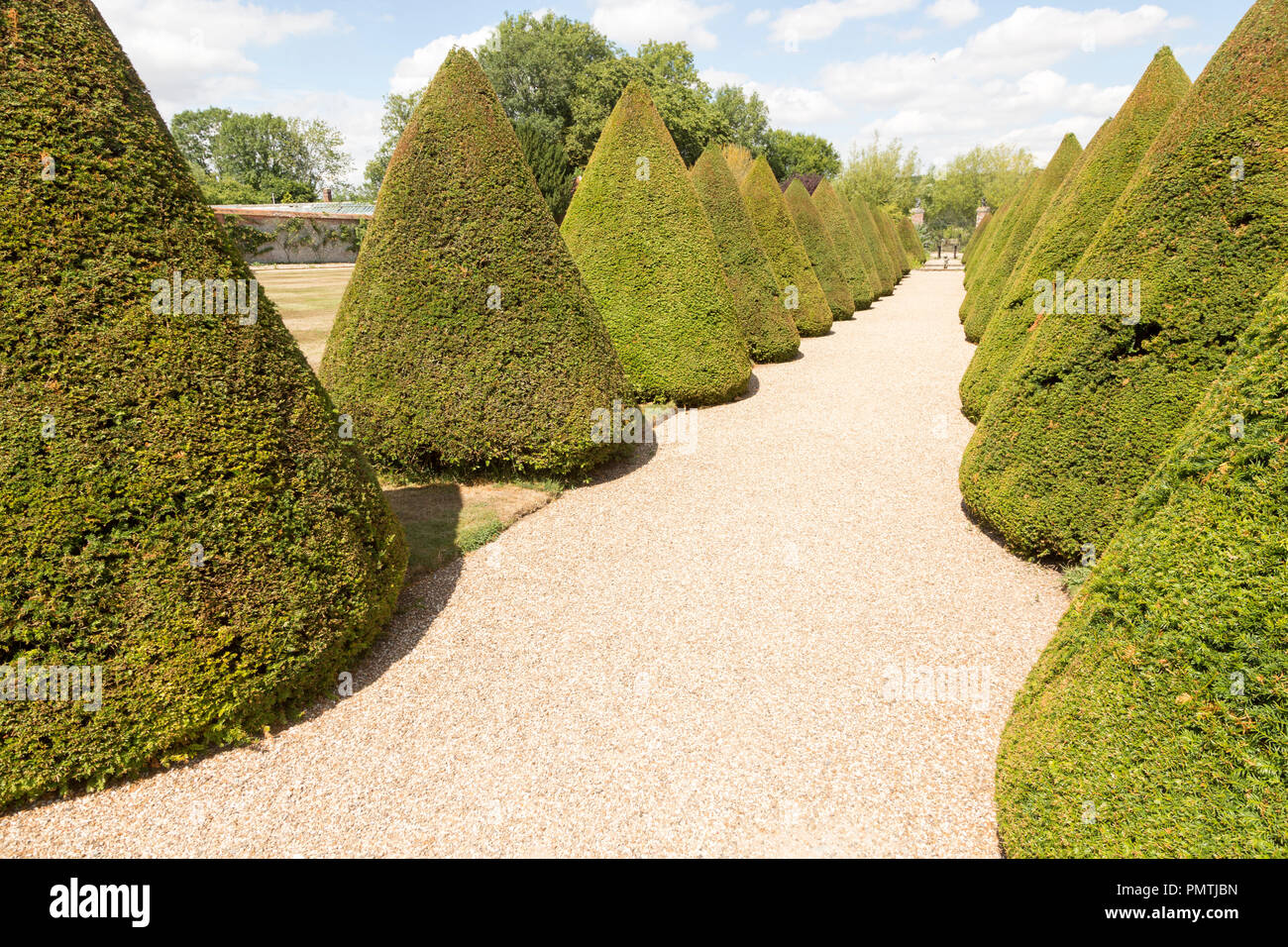 Topiary pathway in garden Littlecote House Hotel, Hungerford, Berkshire ...