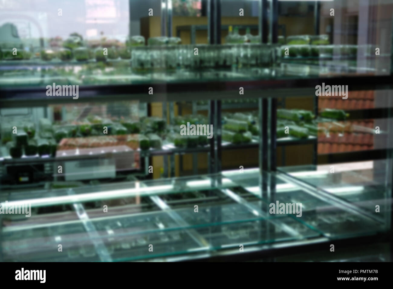 Plant tissue culture growing in hi-res stock photography and images - Alamy