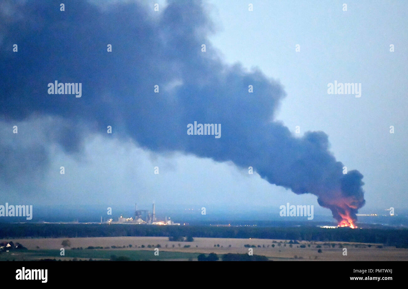 Quersa hi-res stock photography and images - Alamy