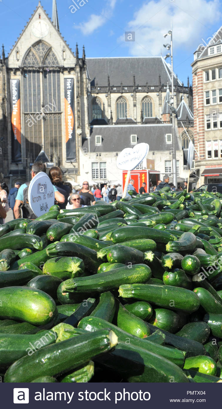 Dont Waste Food Stock Photos & Dont Waste Food Stock Images - Alamy