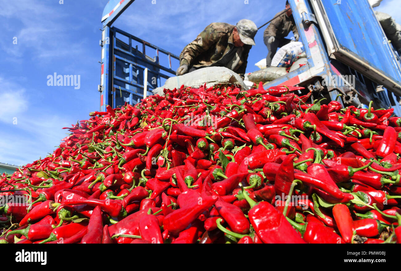 Tongyu hi-res stock photography and images - Alamy