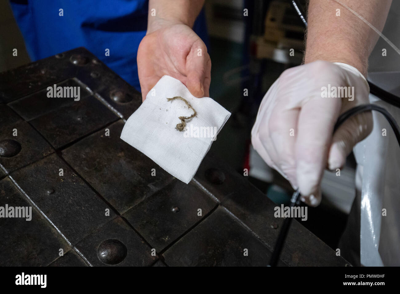 Inside the chest hi-res stock photography and images - Alamy