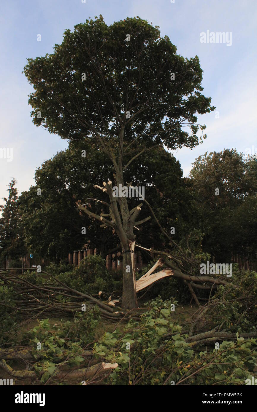 Storm ali damage hi-res stock photography and images - Alamy