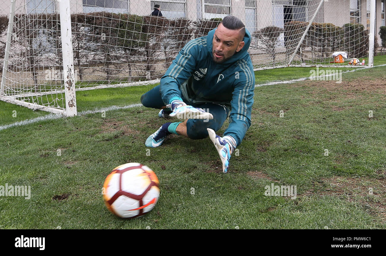 Santiago, Chile. 19th Sep, 2018. Goalkeeper Weverton, from SE Palmeiras ...
