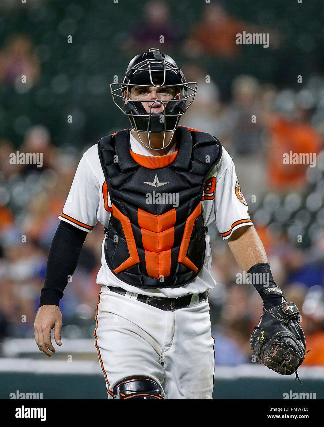 Baltimore, USA. 19th Sep, 2018. Baltimore Orioles Catcher #61 Austin ...