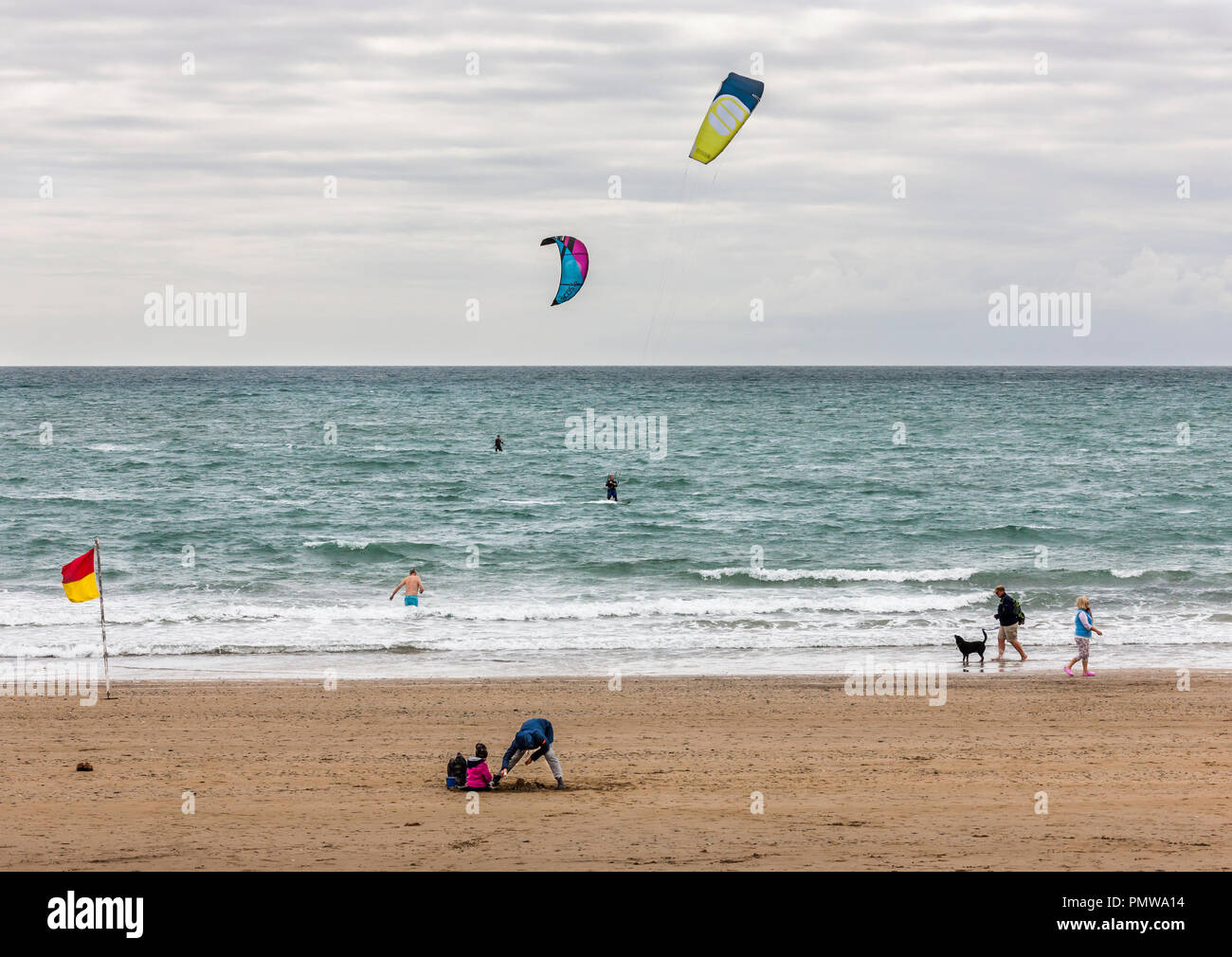 Dog without people hi-res stock photography and images - Alamy