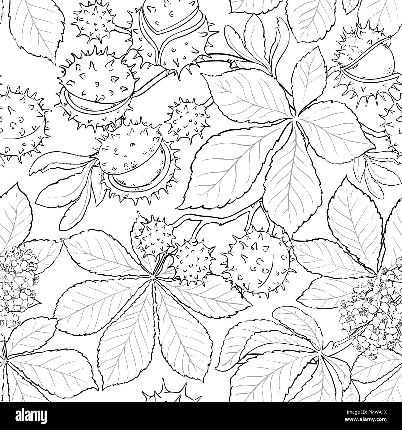 Chestnut Vector Pattern On White Background Stock Vector Image And Art Alamy