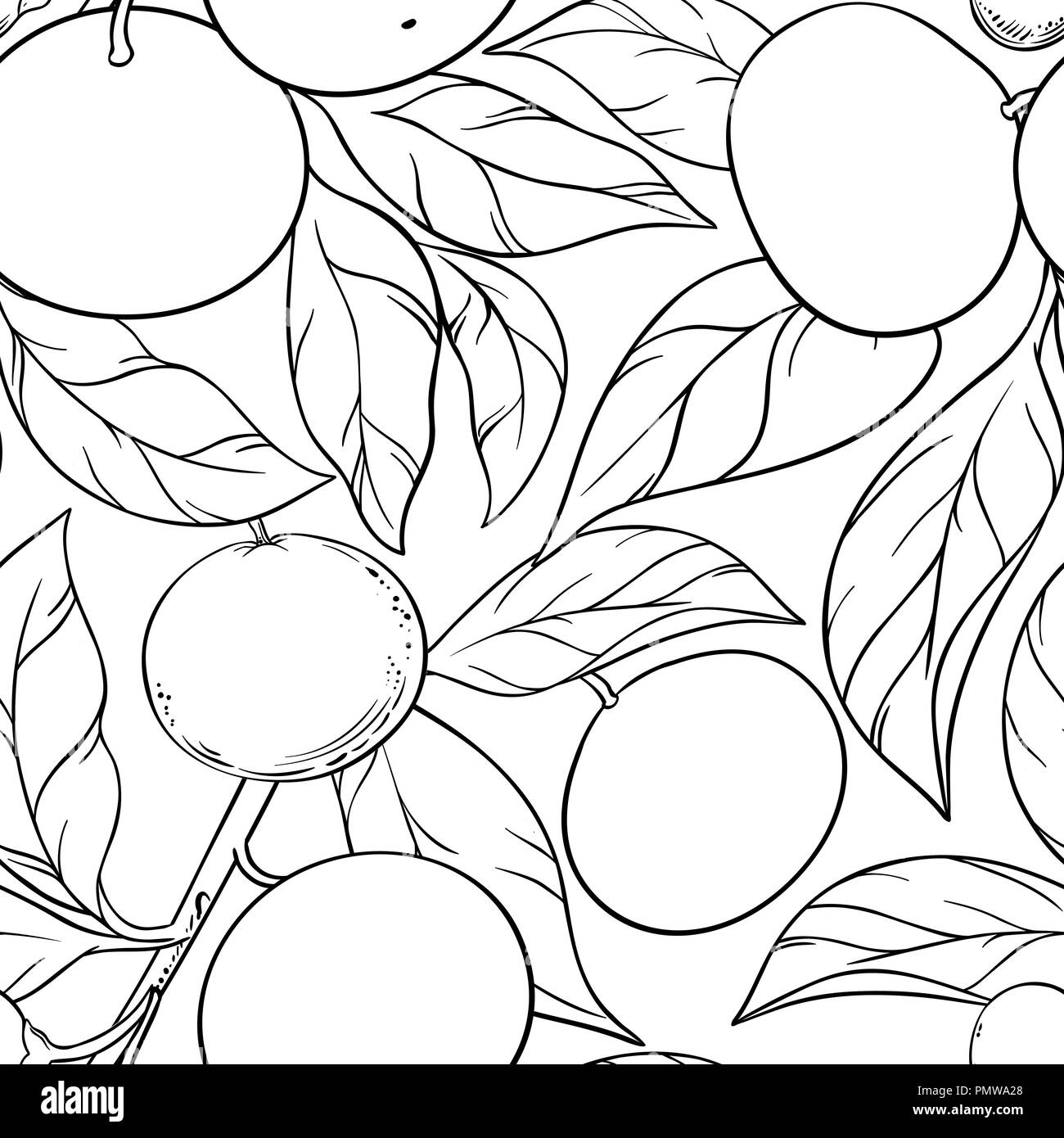 mandarin vector pattern on white background Stock Vector Image & Art - Alamy