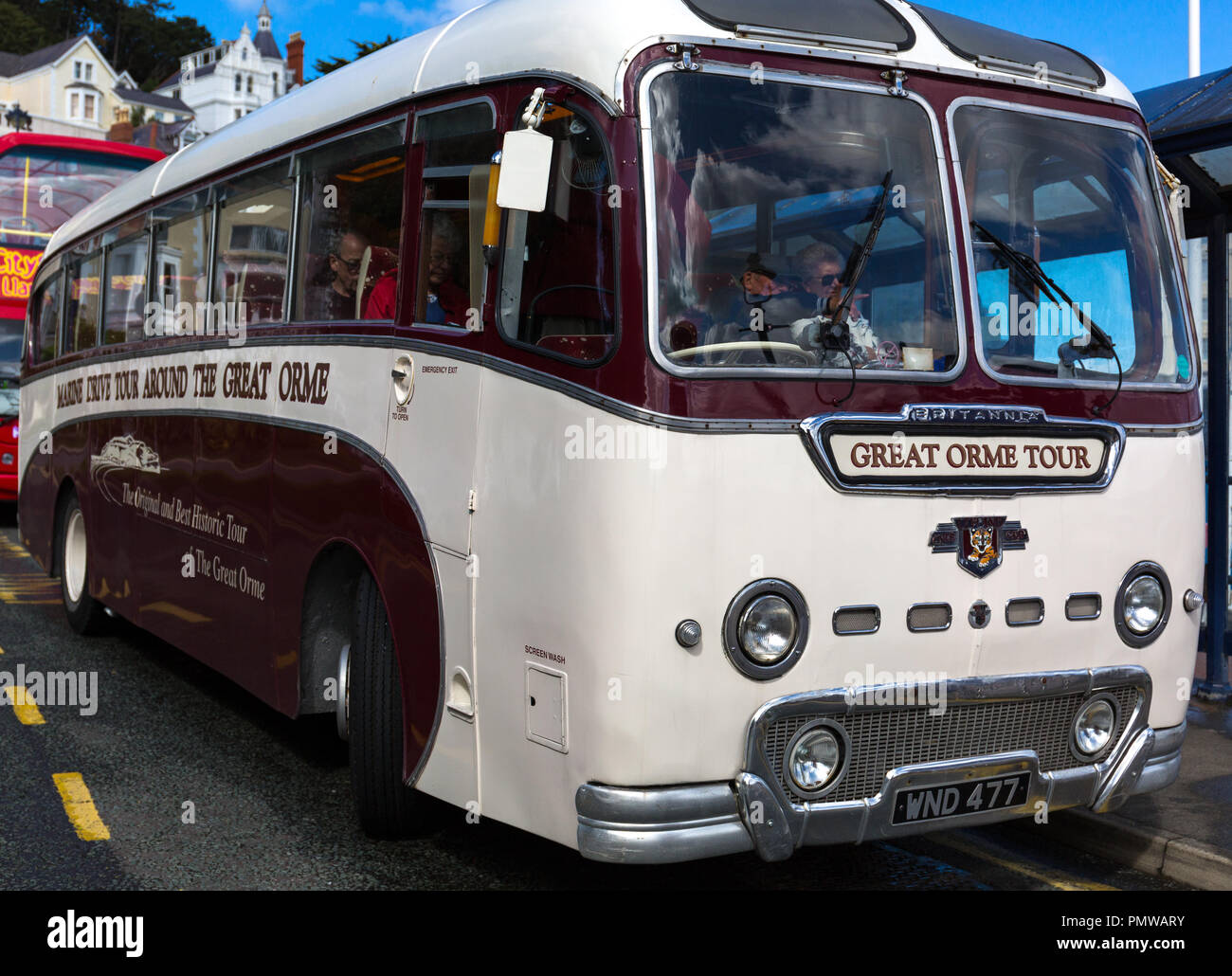 Leyland tiger cub bus hi-res stock photography and images - Alamy