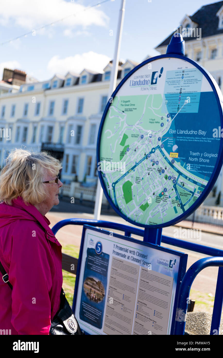 Tourist studying Town map at seafront of Llandudno North Wales UK Stock ...