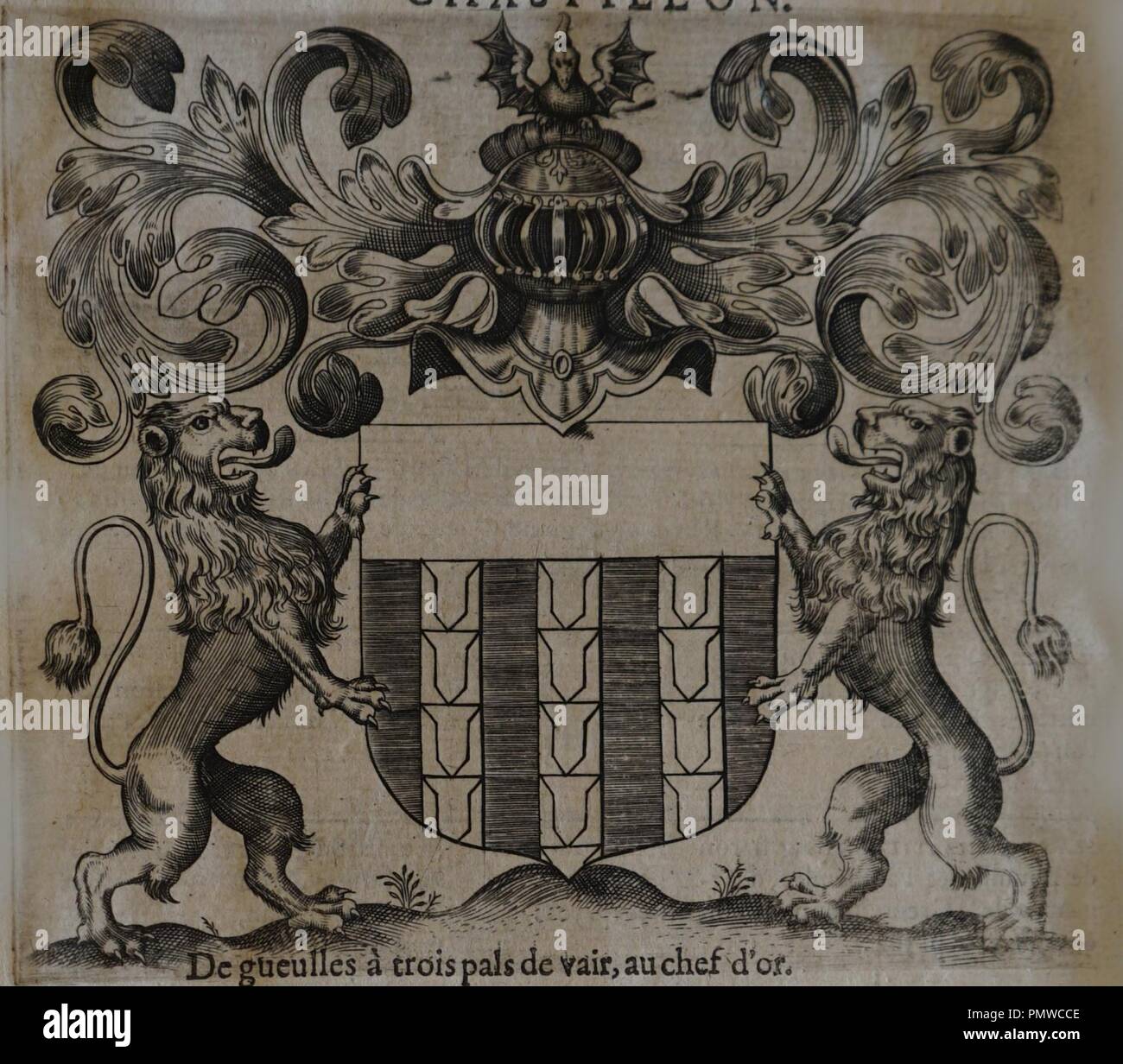 Blason vintage hi-res stock photography and images - Alamy