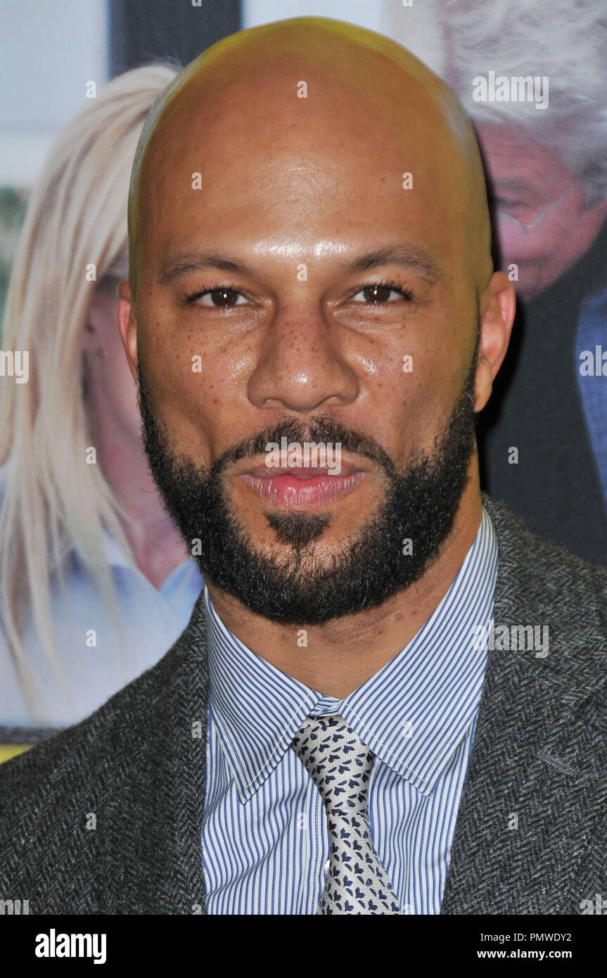 Common at the "Movie 43" Premiere held at the Grauman's Chinese Theater ...