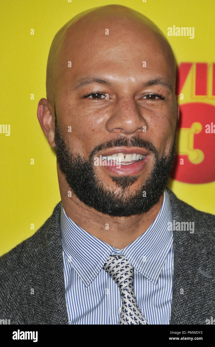 Common at the "Movie 43" Premiere held at the Grauman's Chinese Theater ...