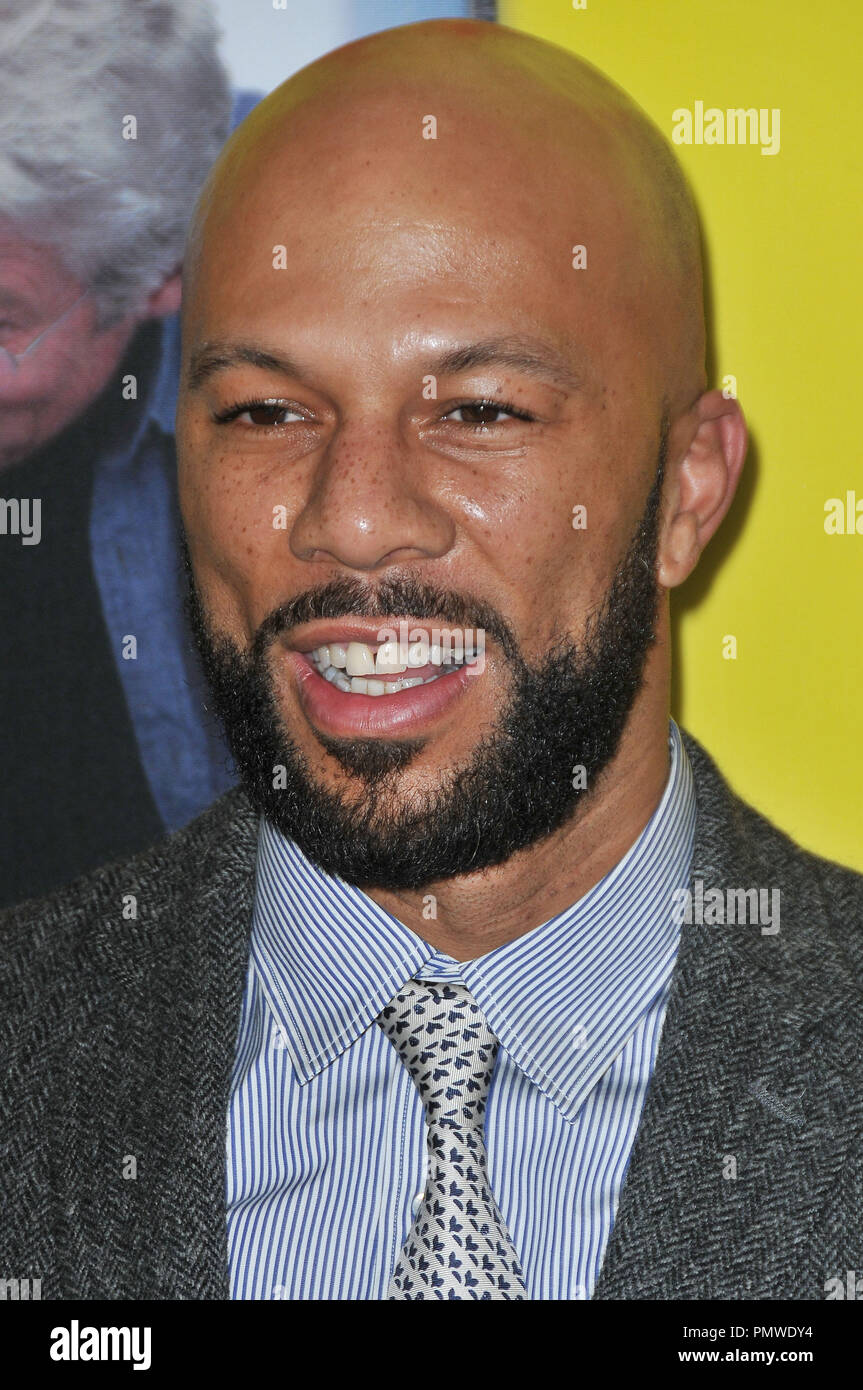 Common at the "Movie 43" Premiere held at the Grauman's Chinese Theater ...