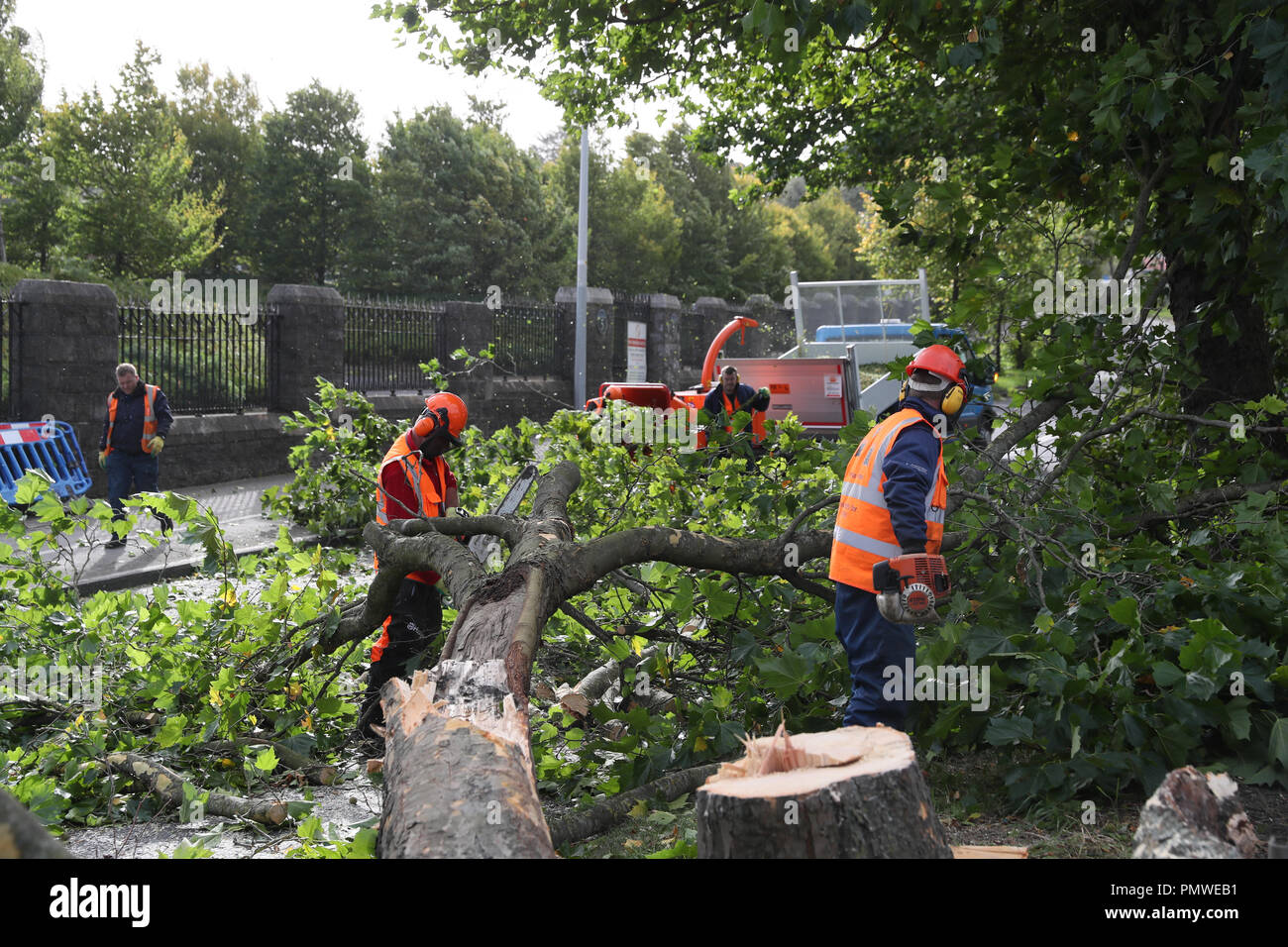 Tree fallen across road hi-res stock photography and images - Alamy