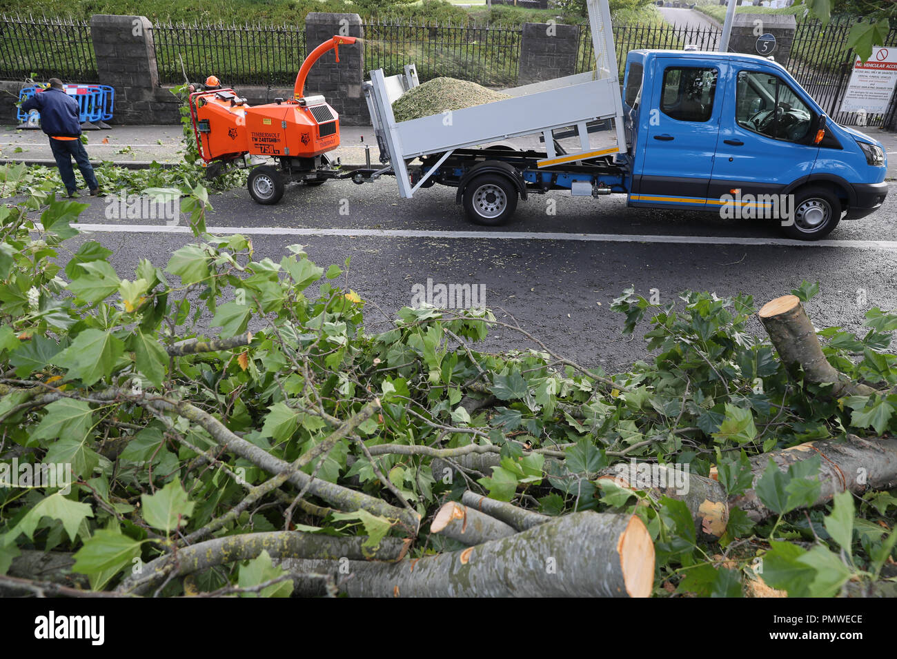 Tree fallen across road hi-res stock photography and images - Alamy