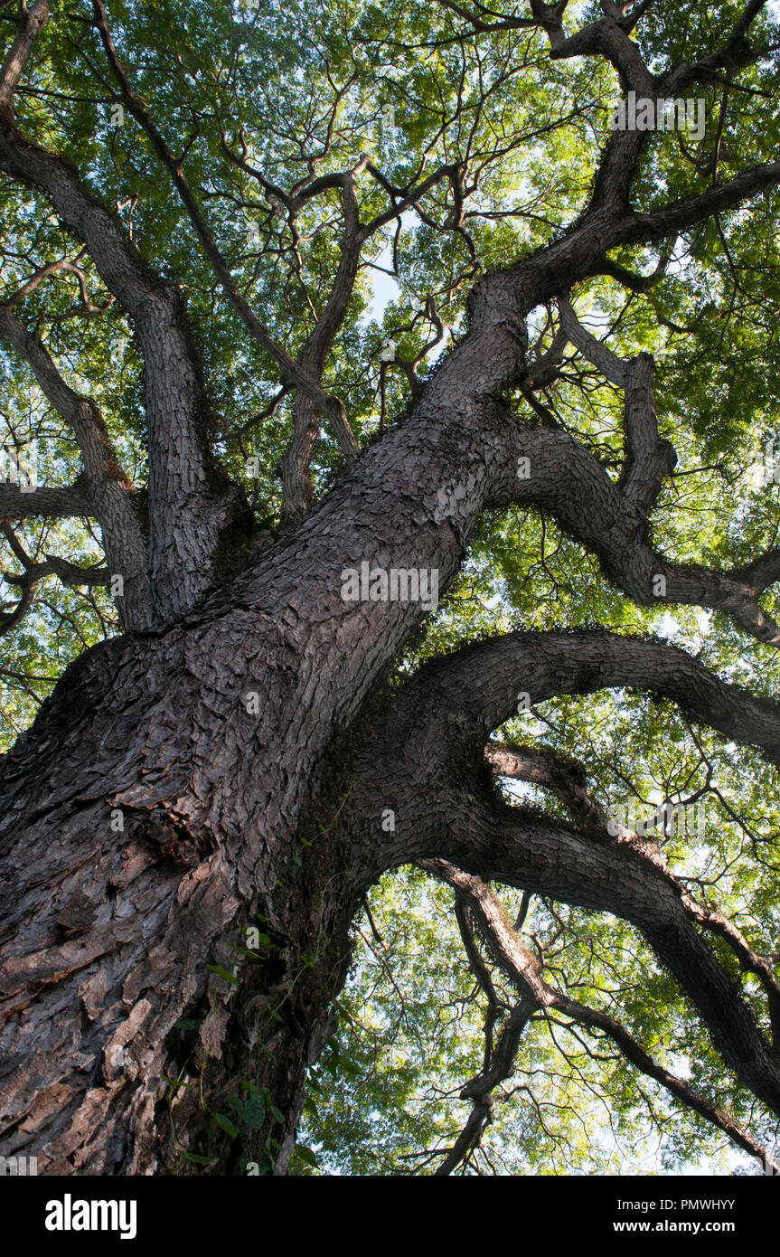 Dominican repubblic hi-res stock photography and images - Alamy