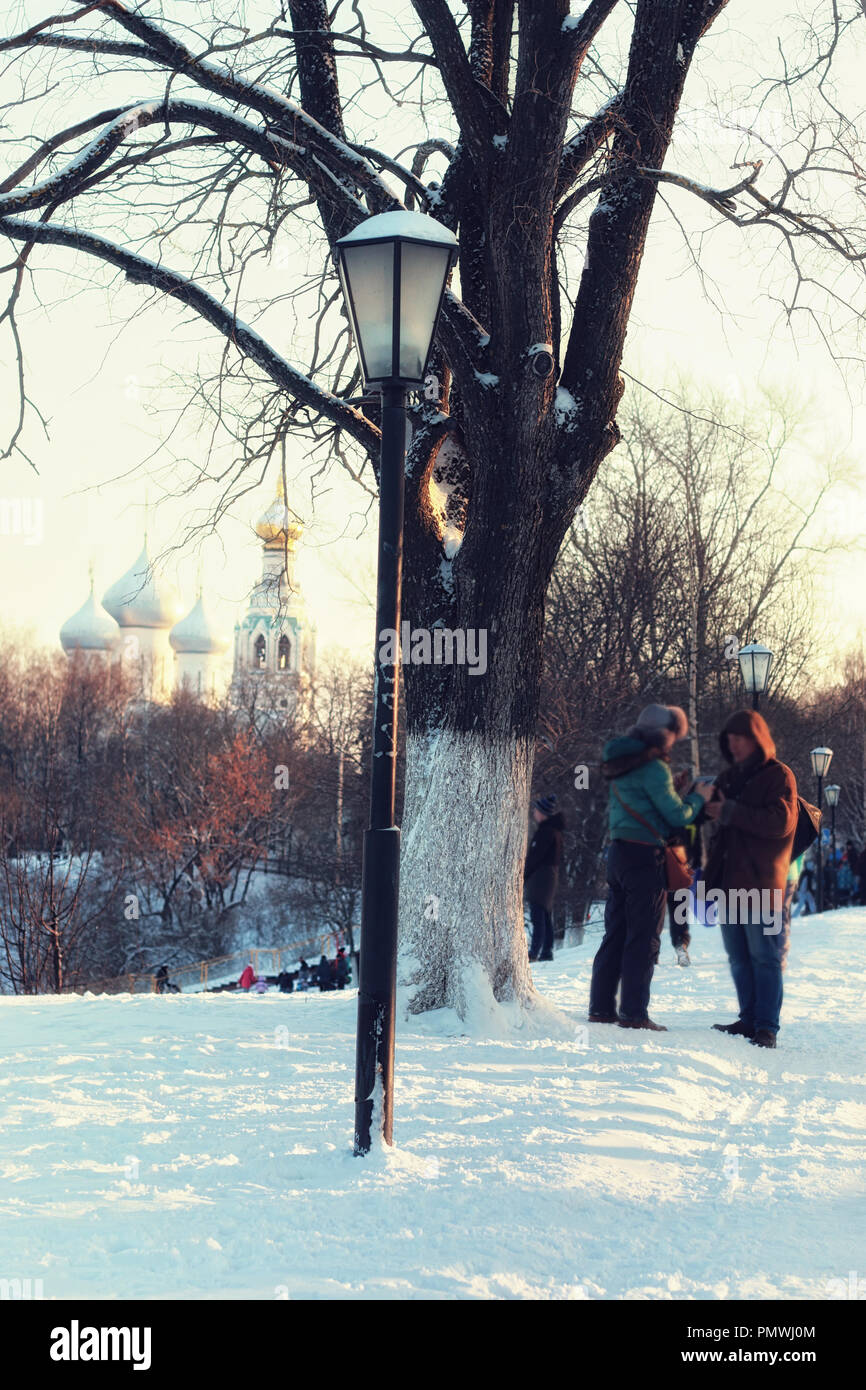 Winter street light tree Stock Photo - Alamy