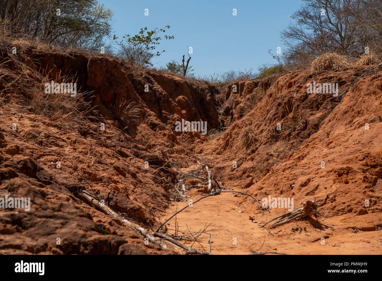 Soil degradation hi-res stock photography and images - Alamy