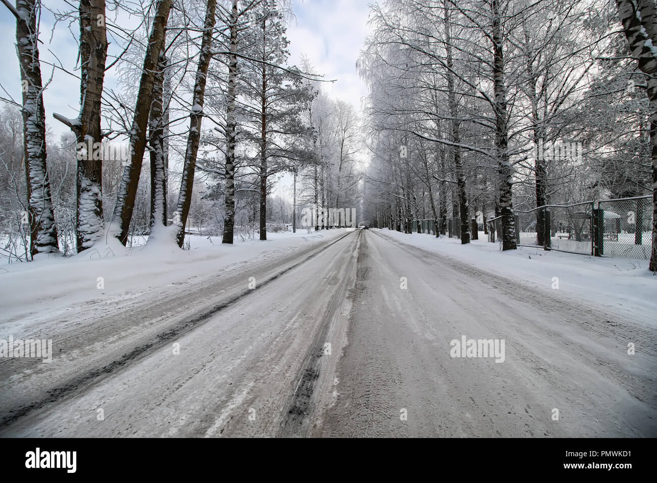Icy roads fir trees hi-res stock photography and images - Alamy