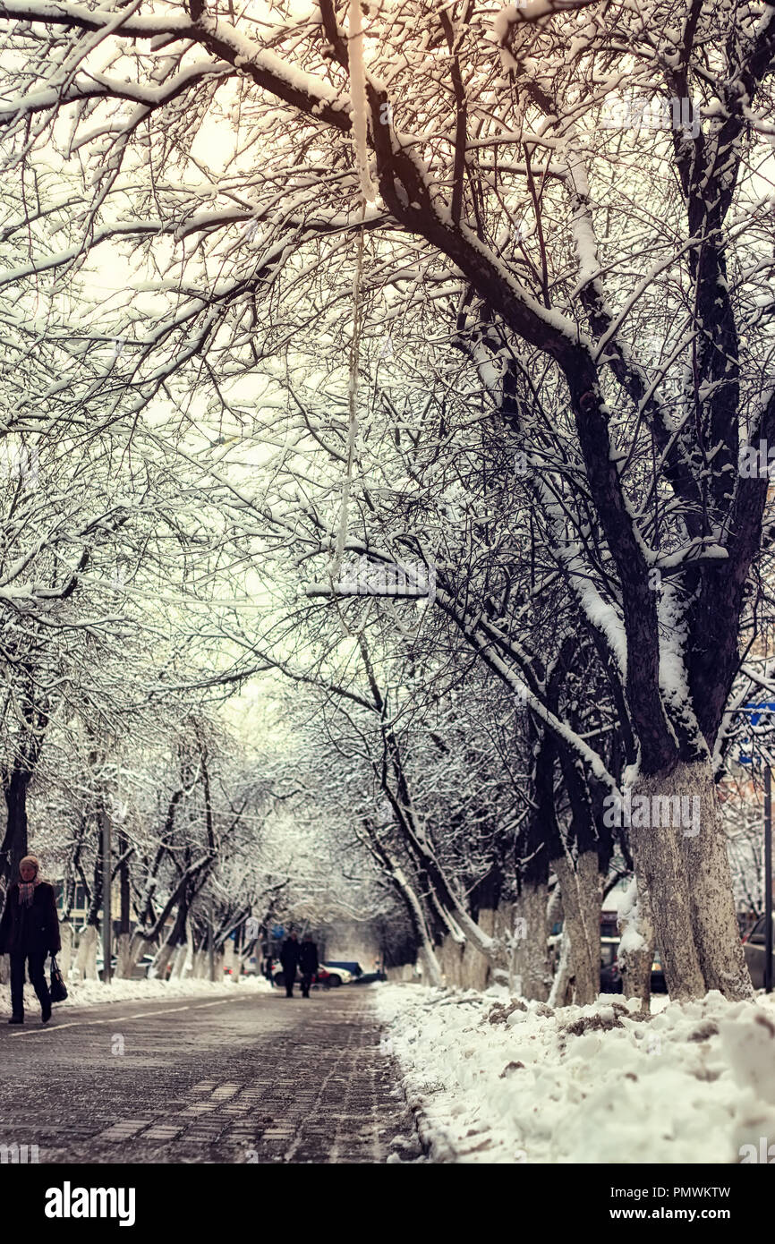 pedestrian pathway tree winter Stock Photo - Alamy