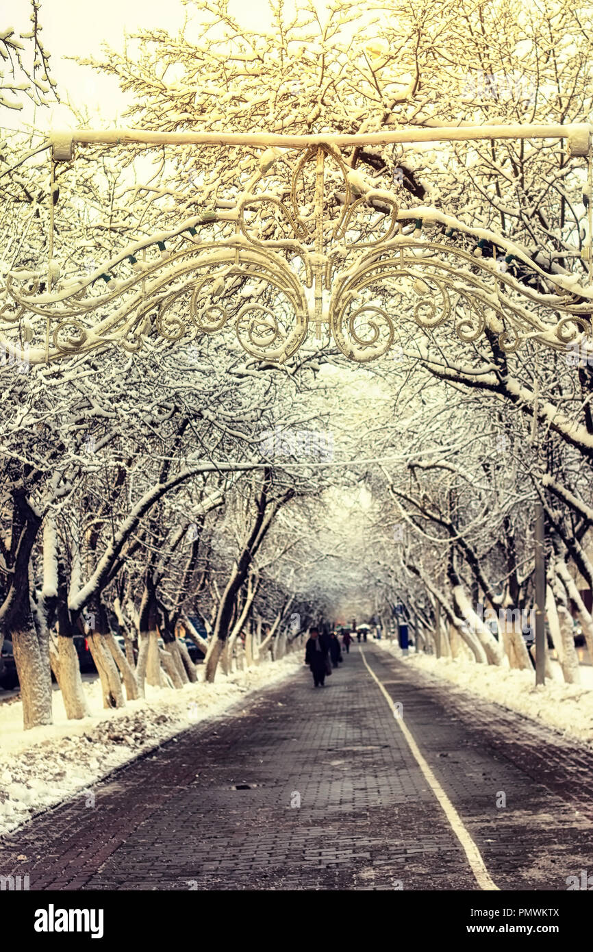 pedestrian pathway tree winter Stock Photo - Alamy