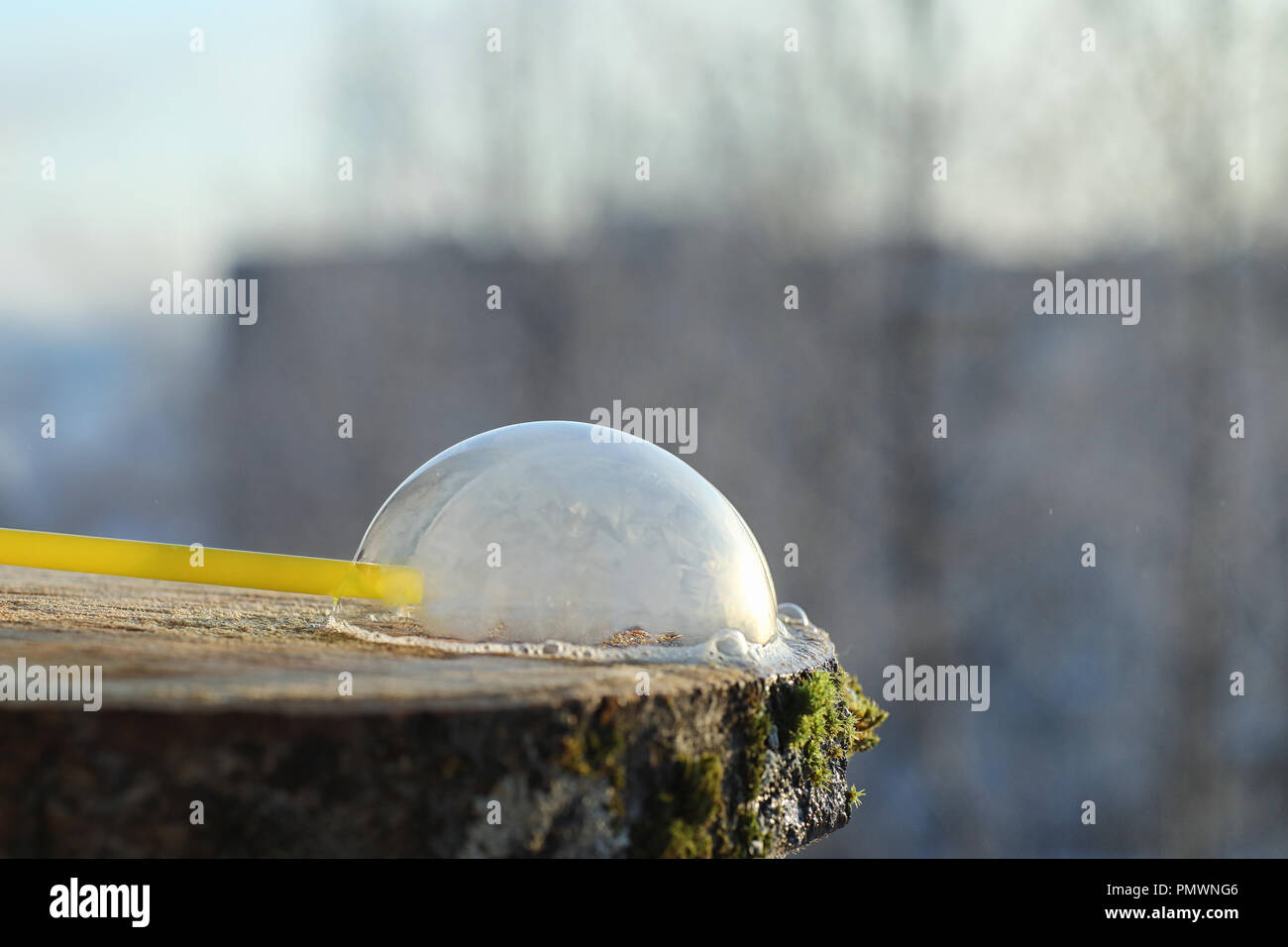 Soap bubbles freeze in the cold. Winter soapy water freezes in t Stock ...